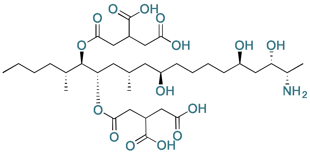 Otras Micotoxinas | BIŌNTE