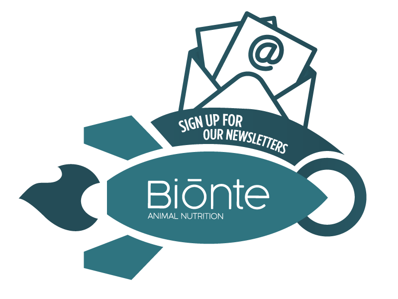 Anti-Mycotoxins Products in Animal Feed | BIŌNTE