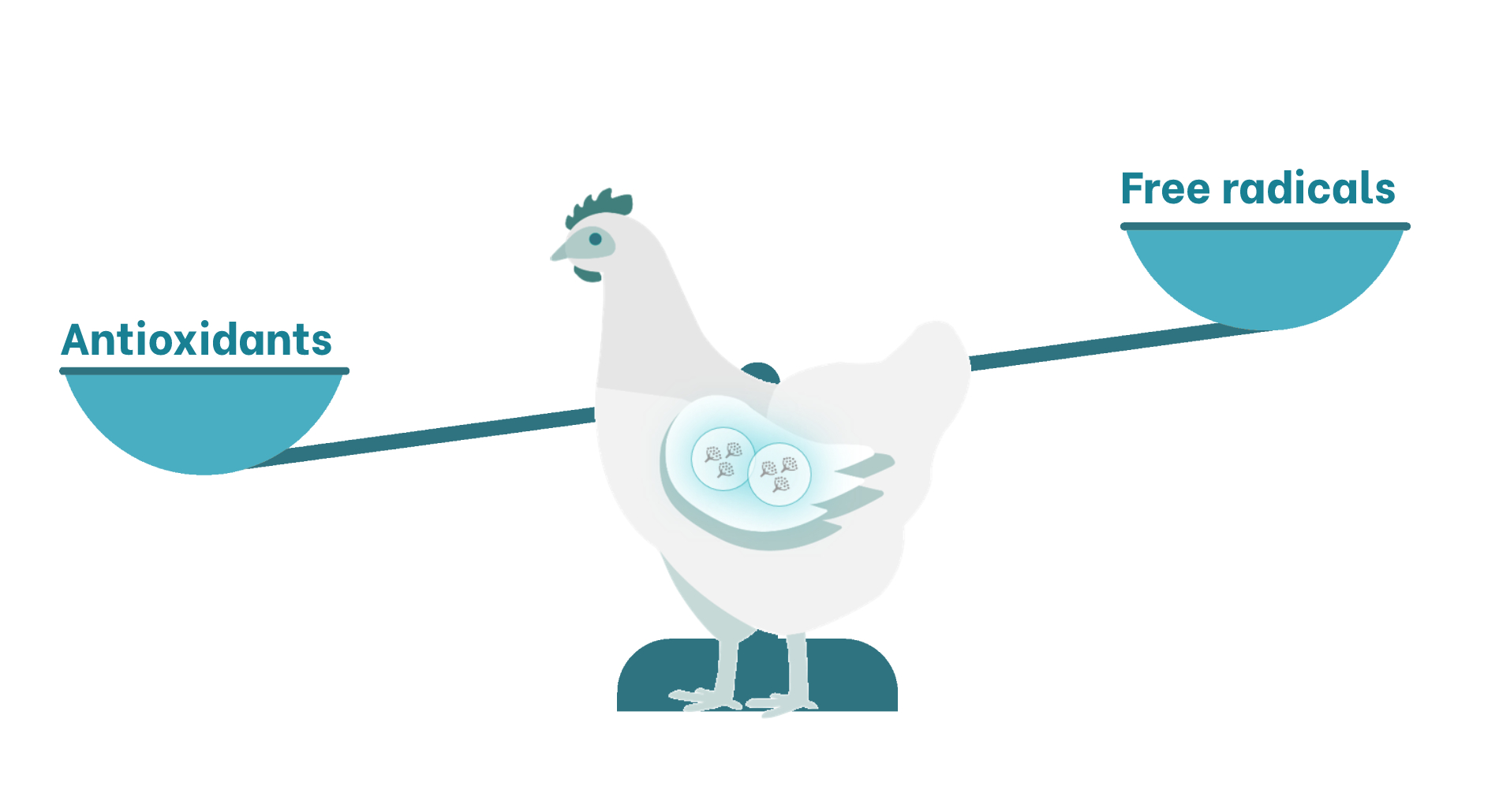 BIŌNTE® QUIMITŌX® LIVŌX®: Protection against the collateral effects of ...