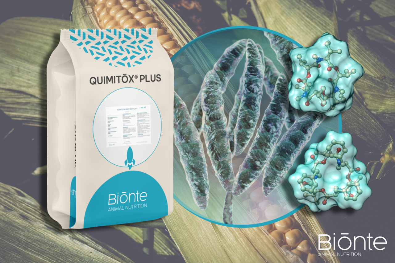 BIŌNTE® QUIMITŌX® PLUS INNOVATIVE SOLUTION AGAINST REGULATED, EMERGING ...