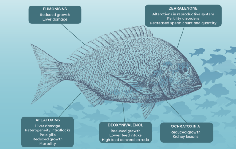 BIŌNTE® QUIMITŌX® AQUA