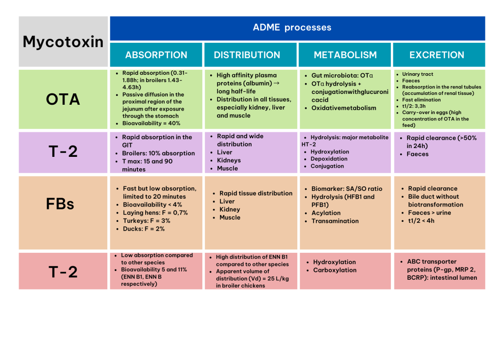 Mycotoxins toxicokinetic in poultry
