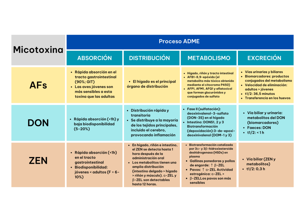 Toxicocinética de las micotoxinas: ADME