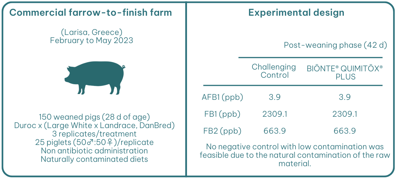QUIMITŌX® PLUS in piglets exposed to AFB1 and FB1 + FB2