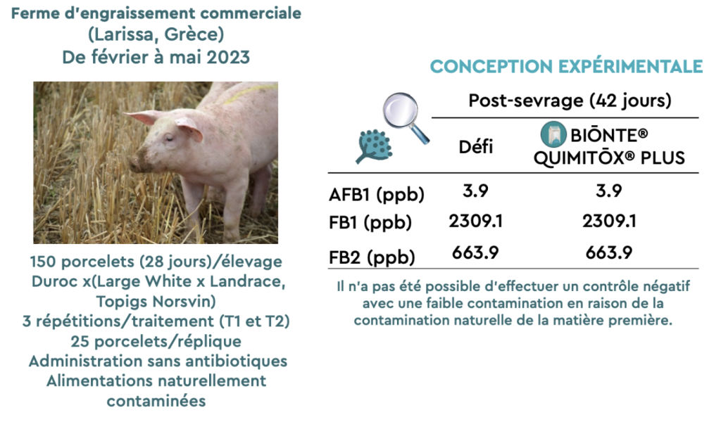 BIŌNTE® QUIMITŌX® PLUS améliore les paramètres de production et la fonction antioxydante et ...