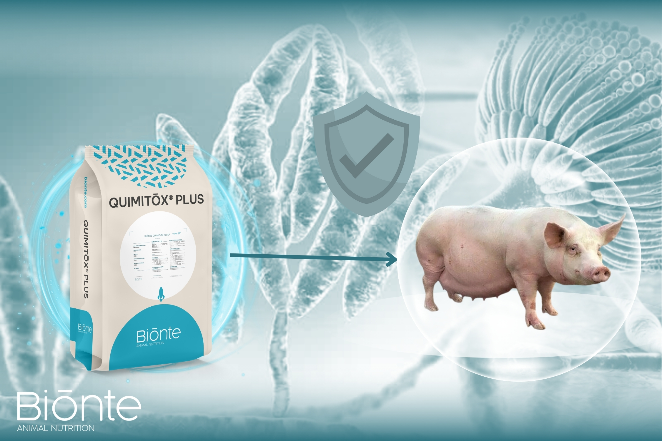 BIŌNTE® QUIMITŌX® PLUS: An effective solution to fight against the ...