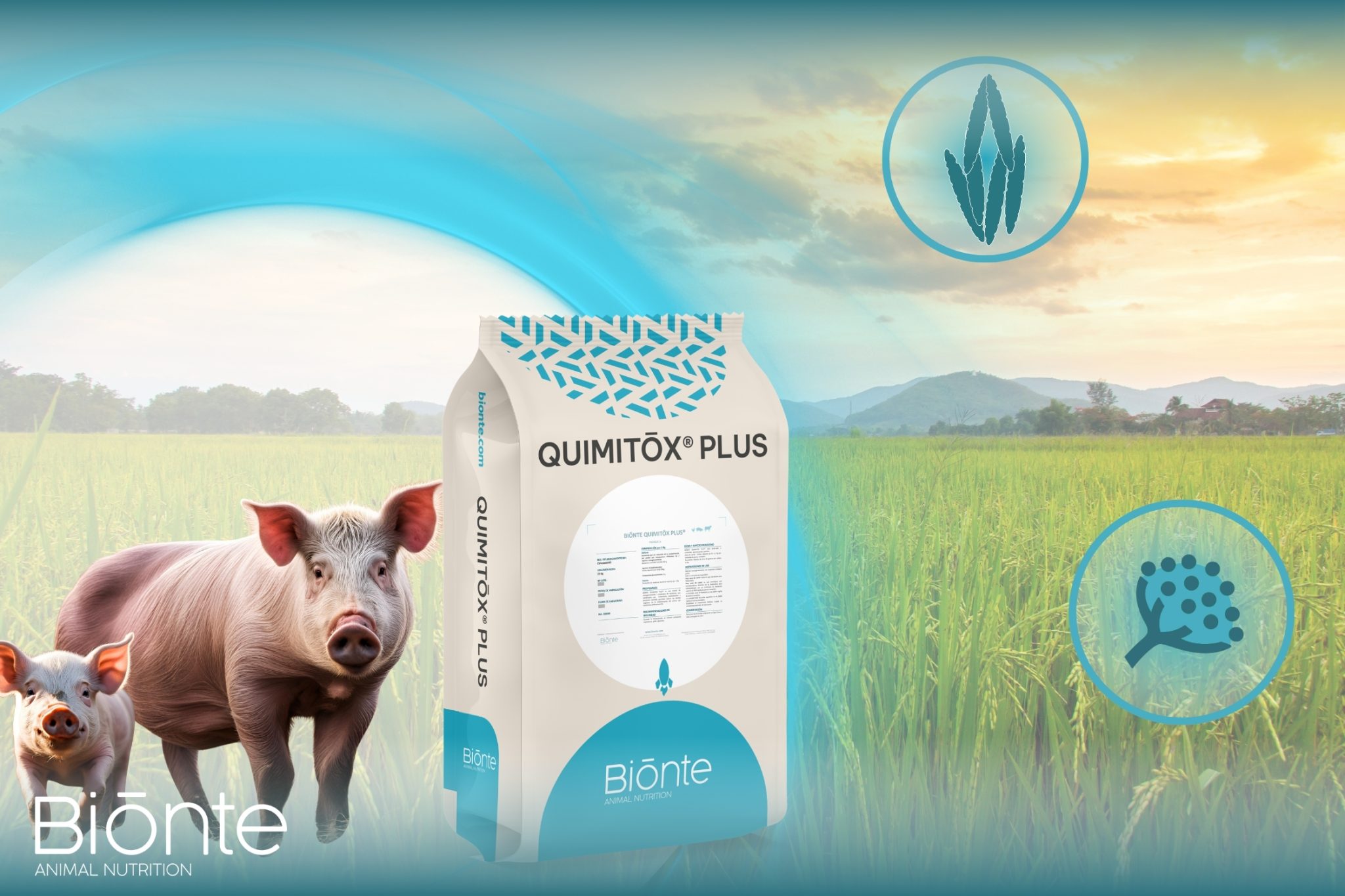 BIŌNTE® QUIMITŌX® PLUS: A unique combination of phytogenics, minerals ...