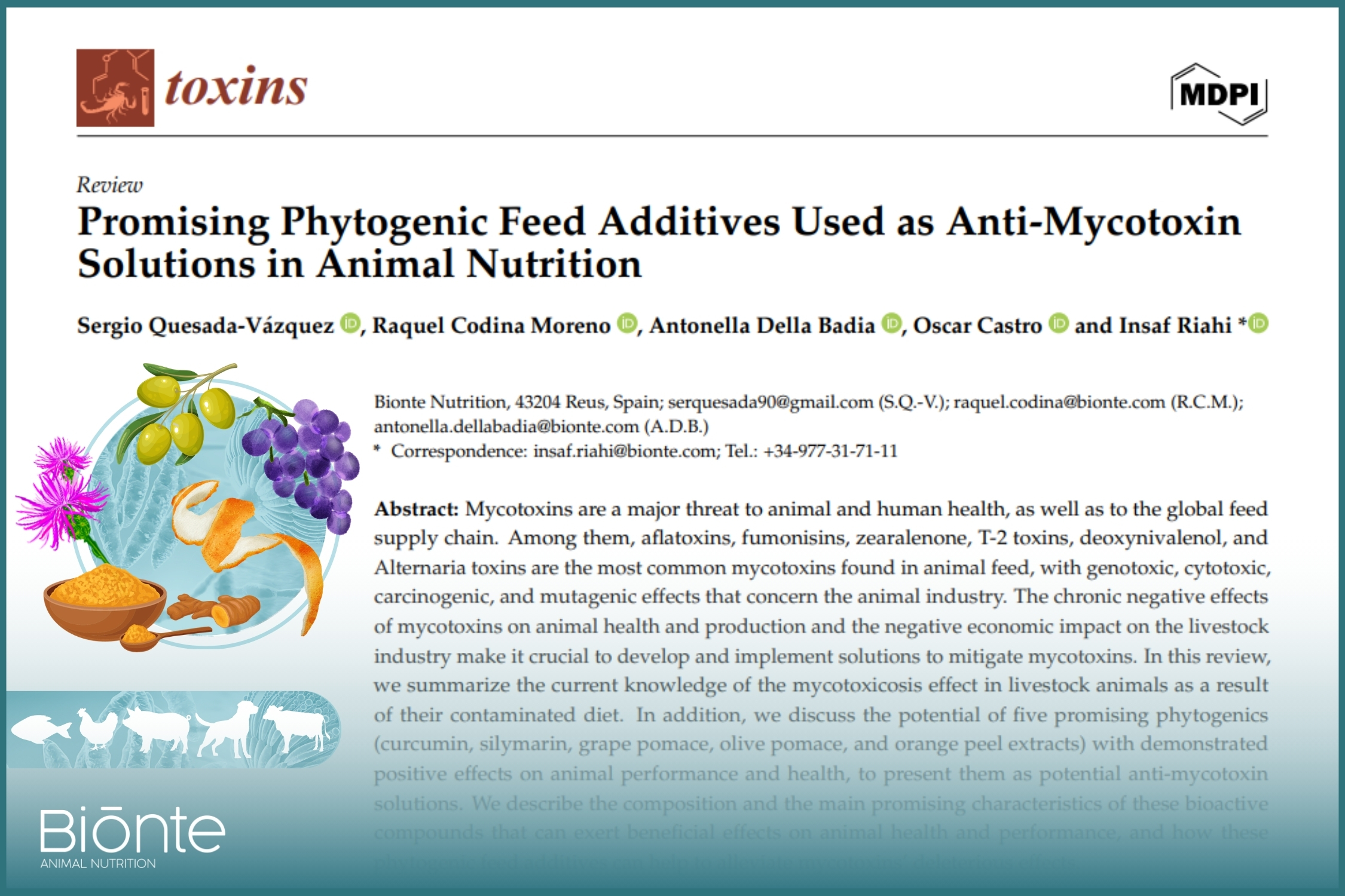 Promising Phytogenics as Anti-Mycotoxin Solutions