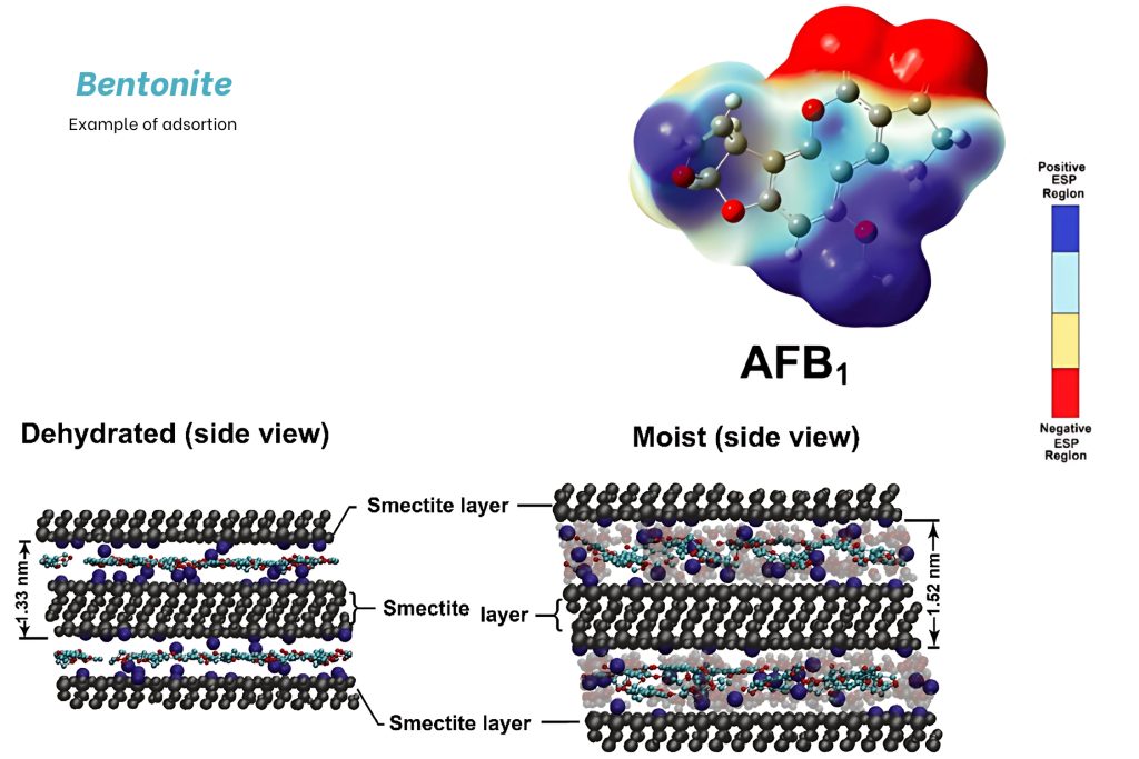Chemical polarity of mycotoxins - BIŌNTE