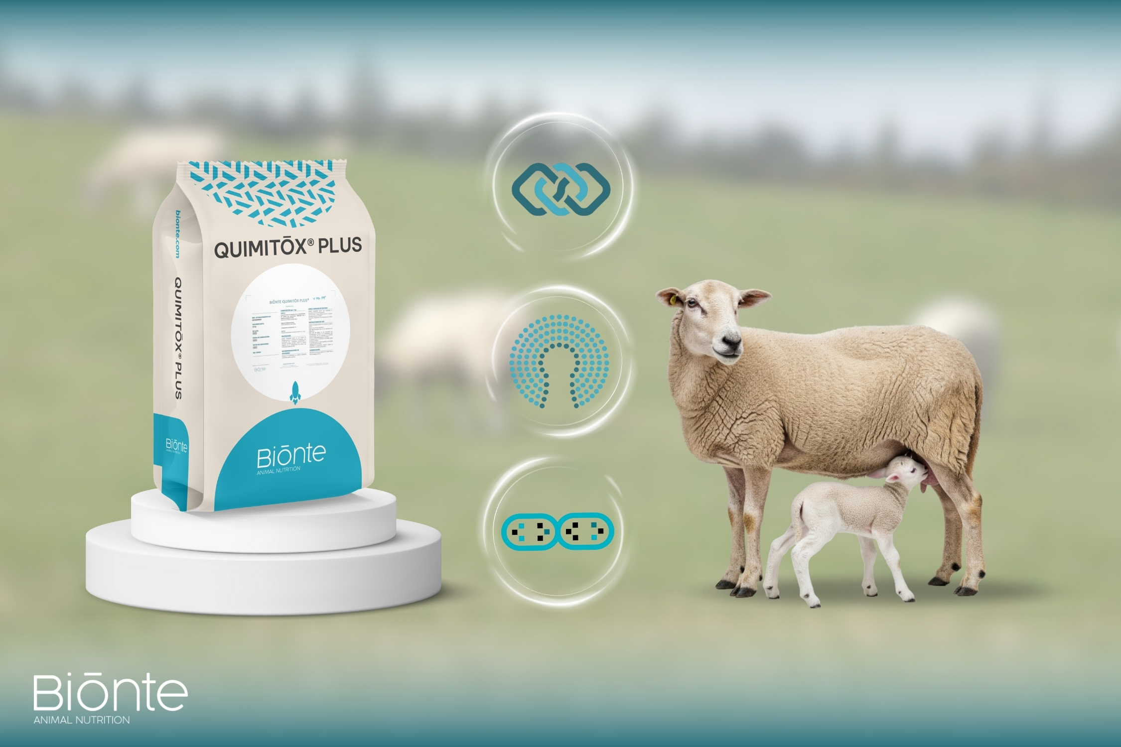 BIŌNTE® QUIMITŌX® PLUS: Proven efficacy in protecting dairy sheep